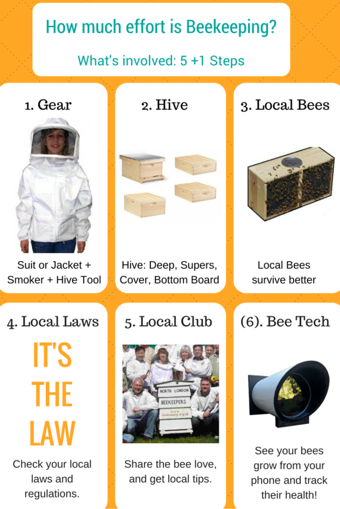 Beekeeping Parts List for Beginners | Eyesonhives