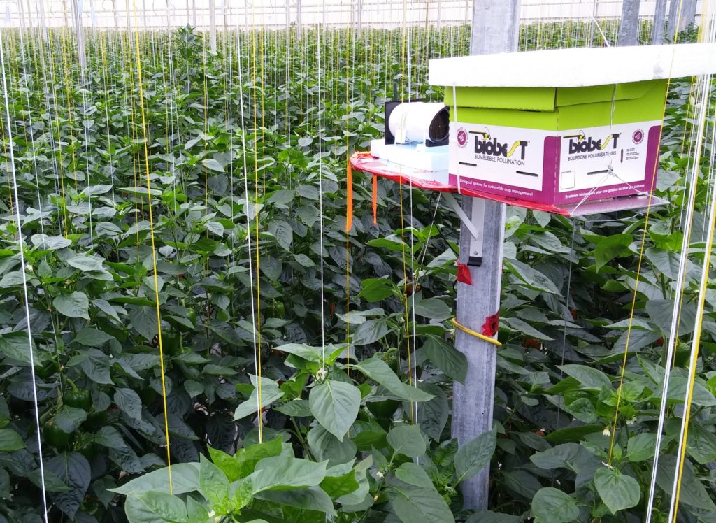 Why Hive Monitoring | Eyesonhives